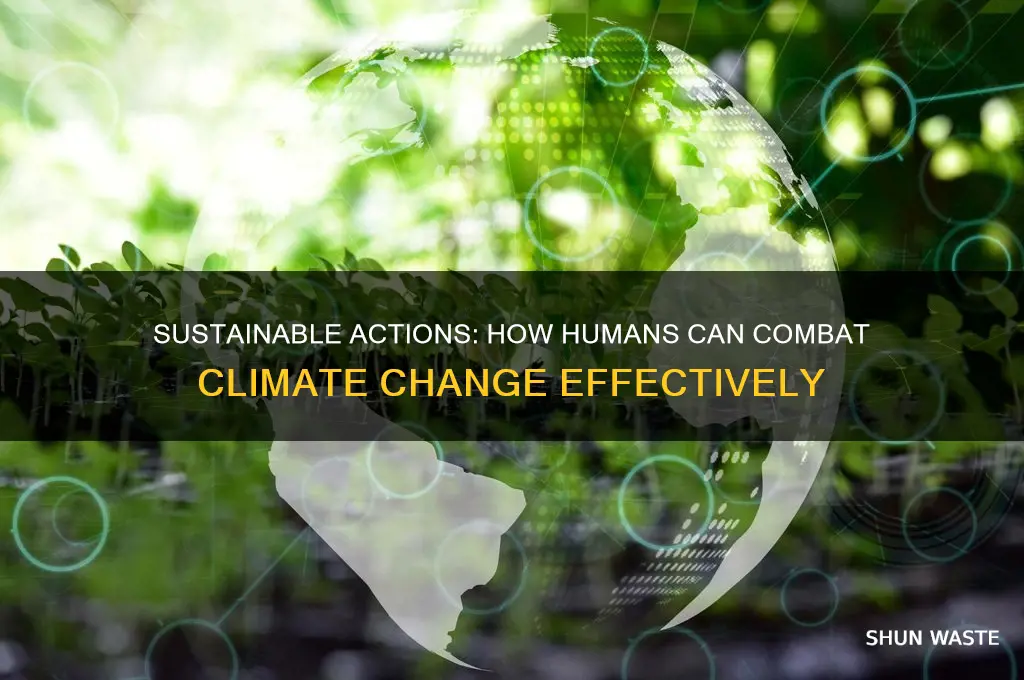 Sustainable Actions: How Humans Can Combat Climate Change Effectively ...