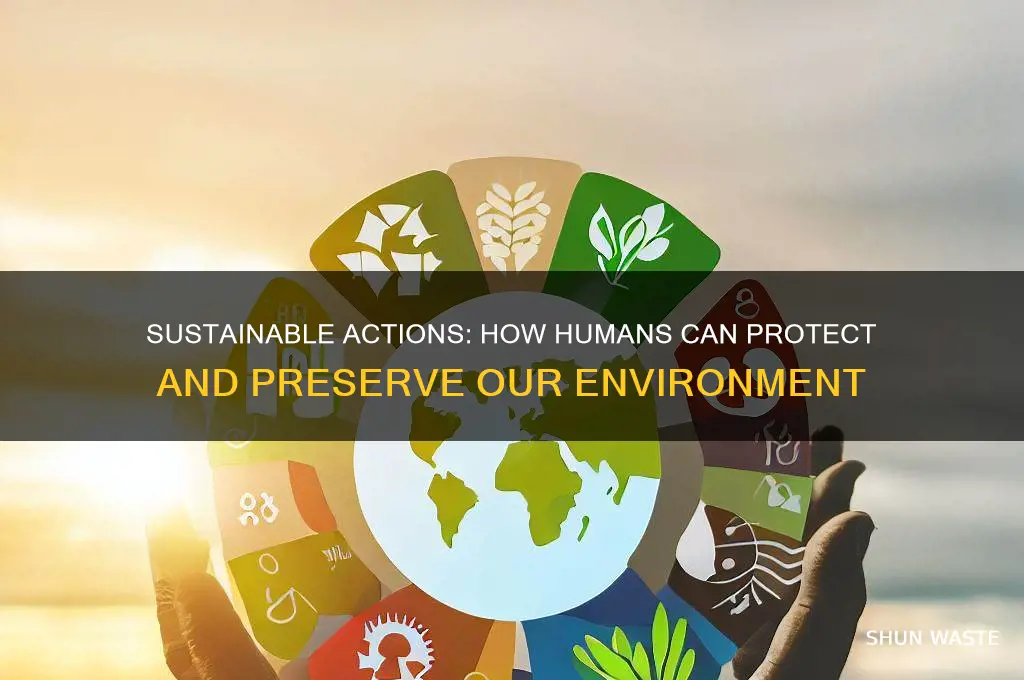 Sustainable Actions: How Humans Can Protect And Preserve Our ...
