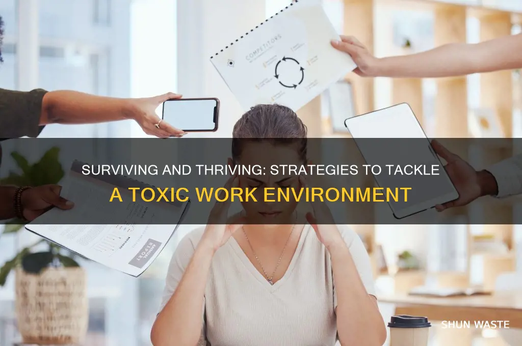 Surviving And Thriving: Strategies To Tackle A Toxic Work Environment ...