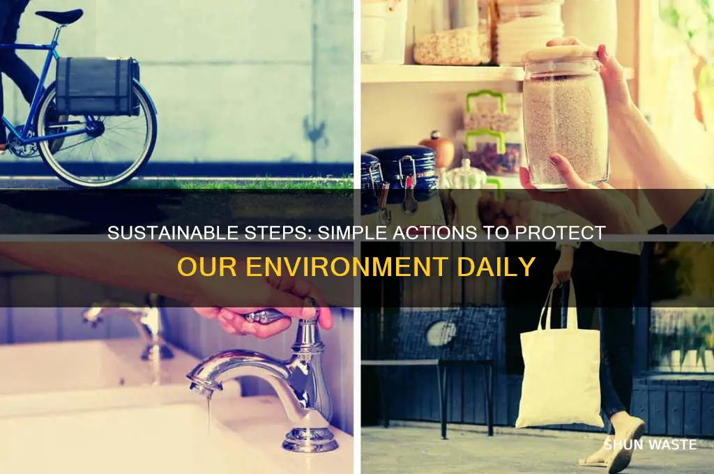 Sustainable Steps: Simple Actions To Protect Our Environment Daily ...