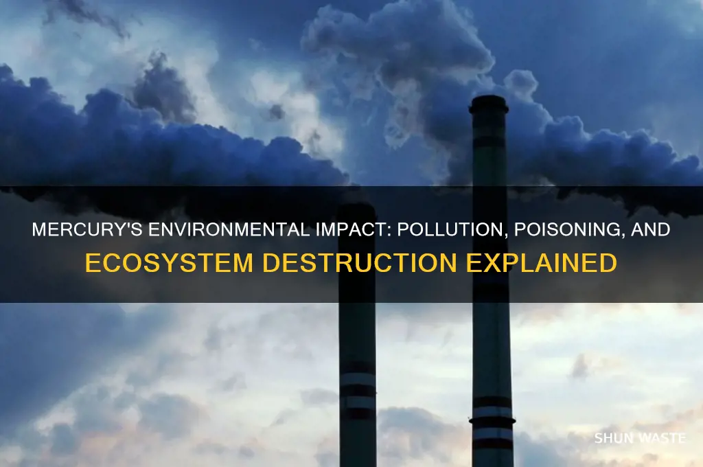 Mercury's Environmental Impact: Pollution, Poisoning, And Ecosystem ...