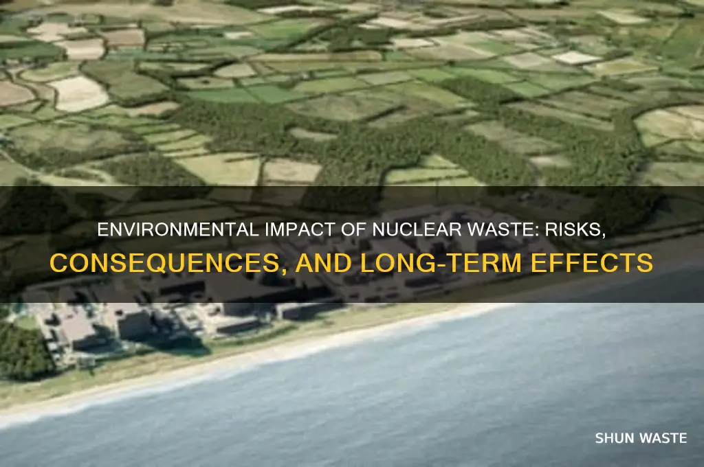 Environmental Impact Of Nuclear Waste: Risks, Consequences, And Long ...