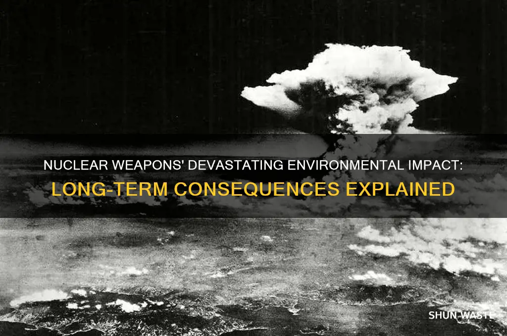 Nuclear Weapons' Devastating Environmental Impact: Long-Term ...