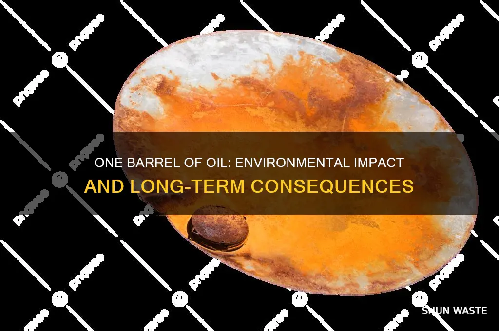 One Barrel Of Oil: Environmental Impact And Long-Term Consequences ...