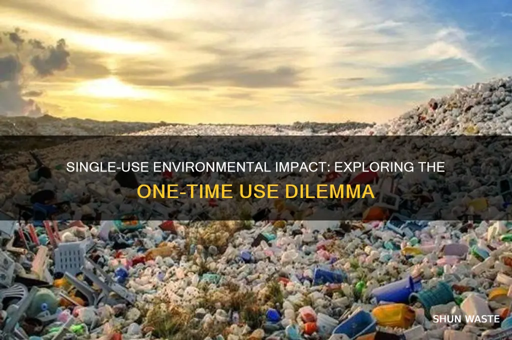 Single-Use Environmental Impact: Exploring The One-Time Use Dilemma ...