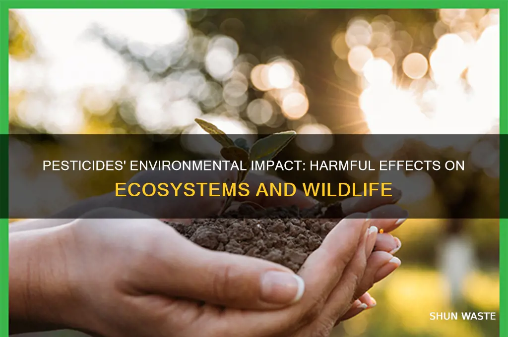 Pesticides' Environmental Impact: Harmful Effects On Ecosystems And ...