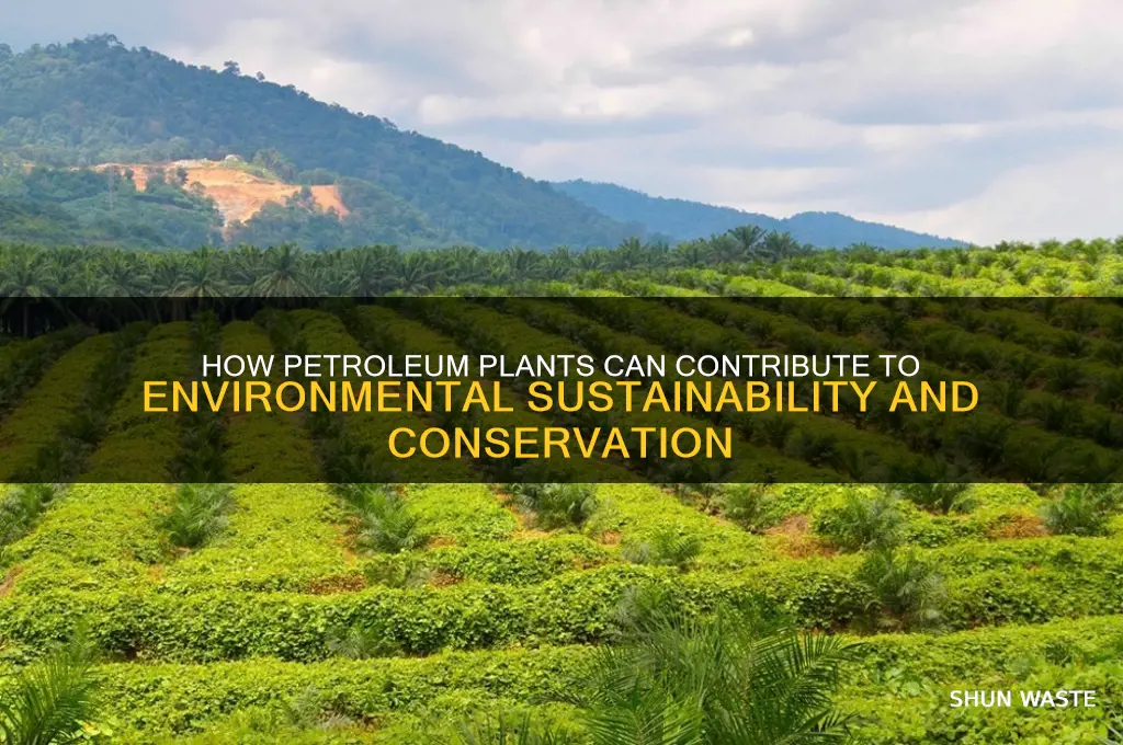 How Petroleum Plants Can Contribute To Environmental Sustainability And ...