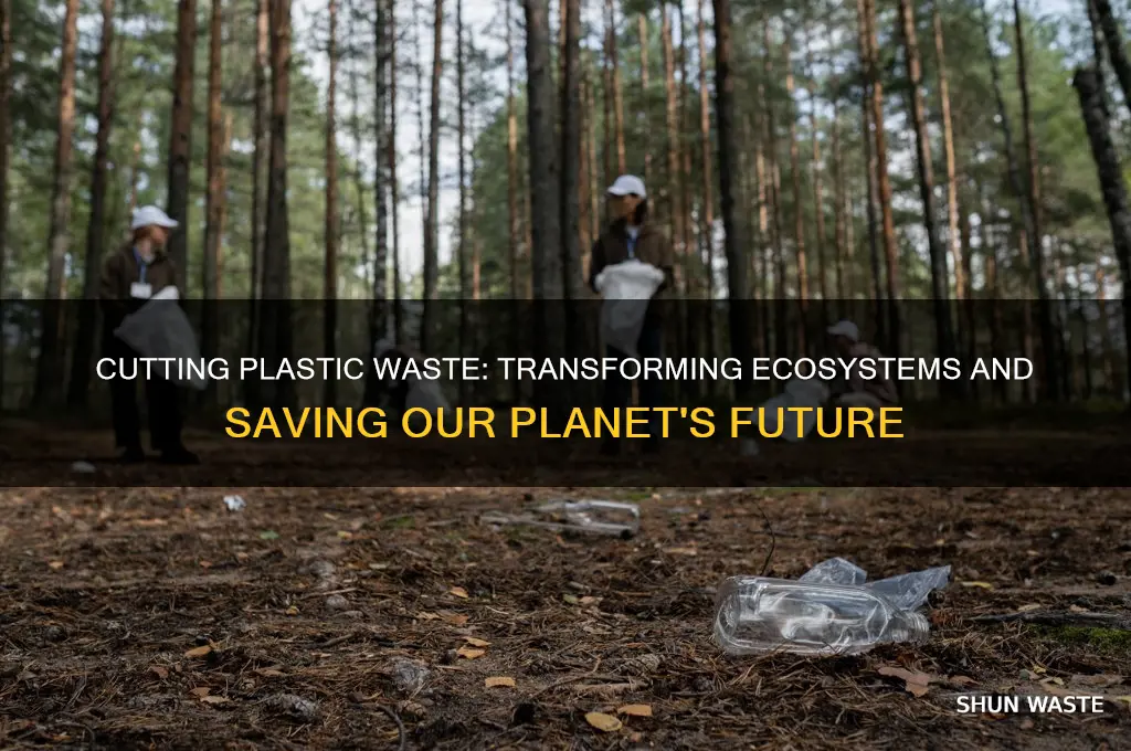 Cutting Plastic Waste: Transforming Ecosystems And Saving Our Planet's ...