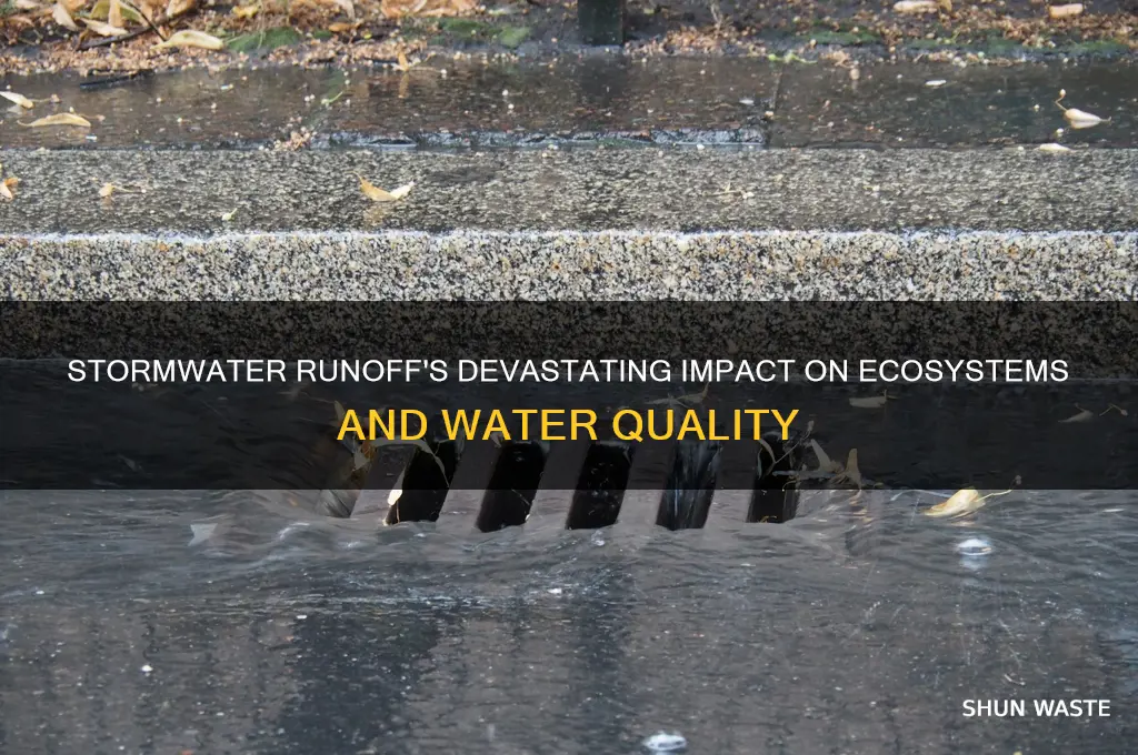 Stormwater Runoff's Devastating Impact On Ecosystems And Water Quality ...