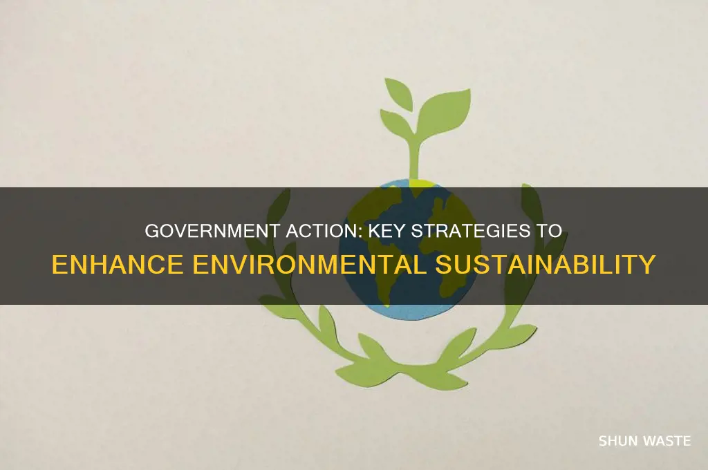 Government Action: Key Strategies To Enhance Environmental ...