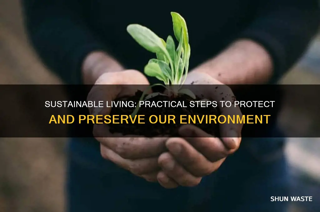 Sustainable Living: Practical Steps To Protect And Preserve Our ...