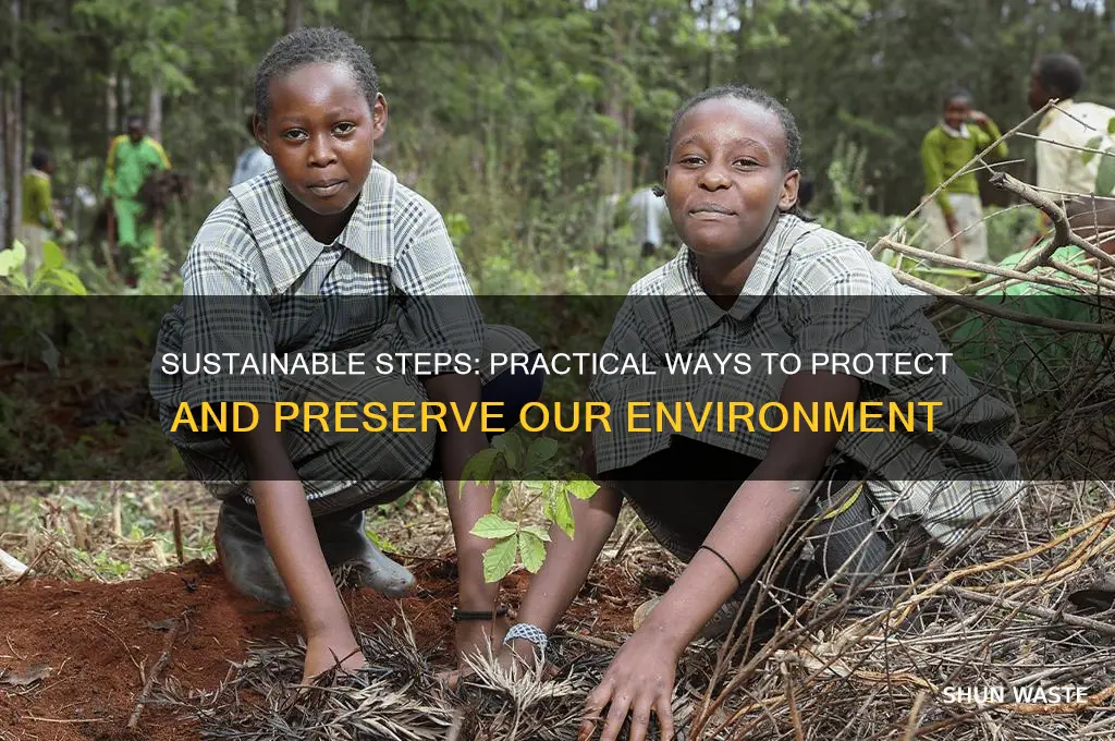 Sustainable Steps: Practical Ways To Protect And Preserve Our ...