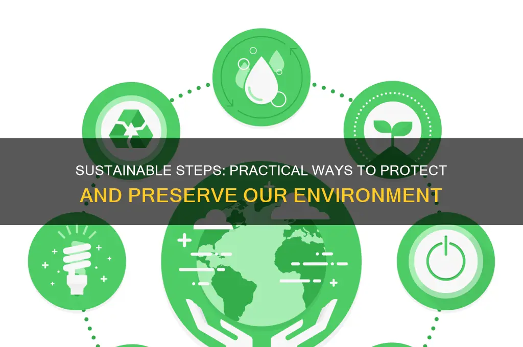 Sustainable Steps: Practical Ways To Protect And Preserve Our ...