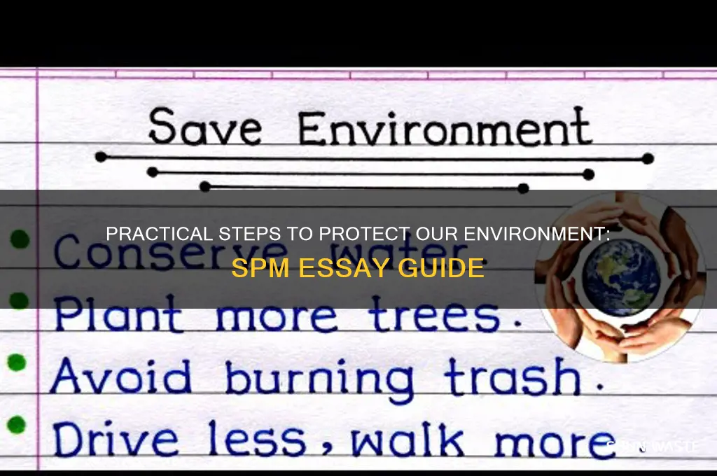 Practical Steps To Protect Our Environment: Spm Essay Guide | ShunWaste