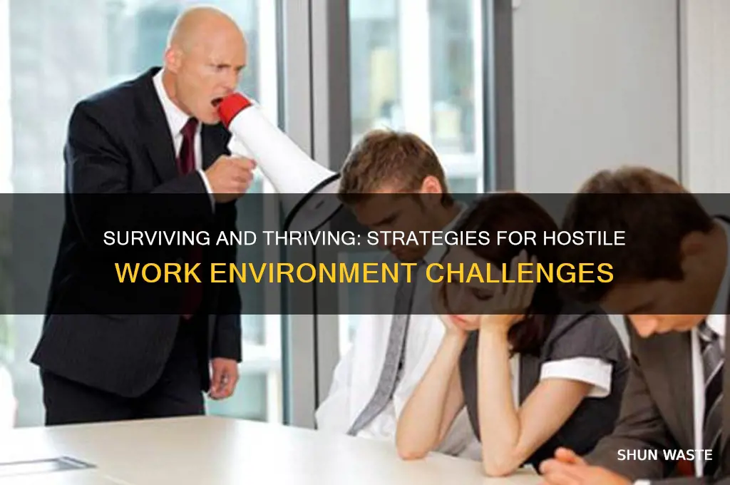 Surviving And Thriving: Strategies For Hostile Work Environment ...