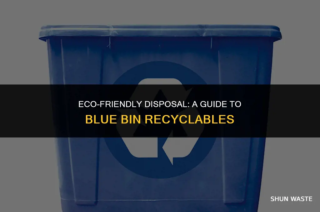 Eco-Friendly Disposal: A Guide To Blue Bin Recyclables | ShunWaste