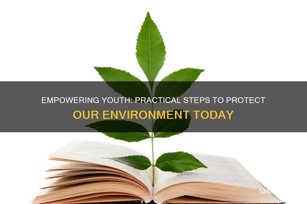 Empowering Youth: Practical Steps To Protect Our Environment Today ...