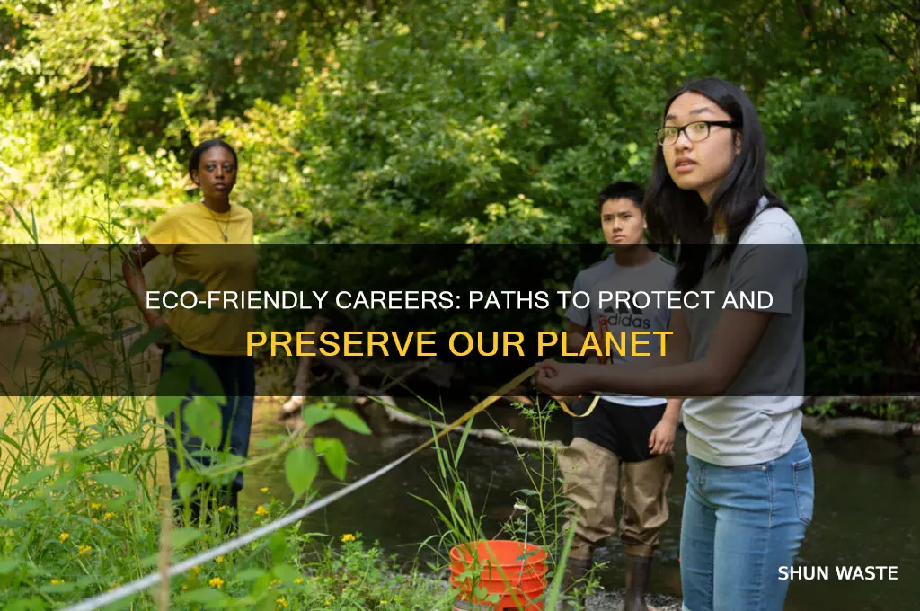 Eco-Friendly Careers: Paths To Protect And Preserve Our Planet | ShunWaste