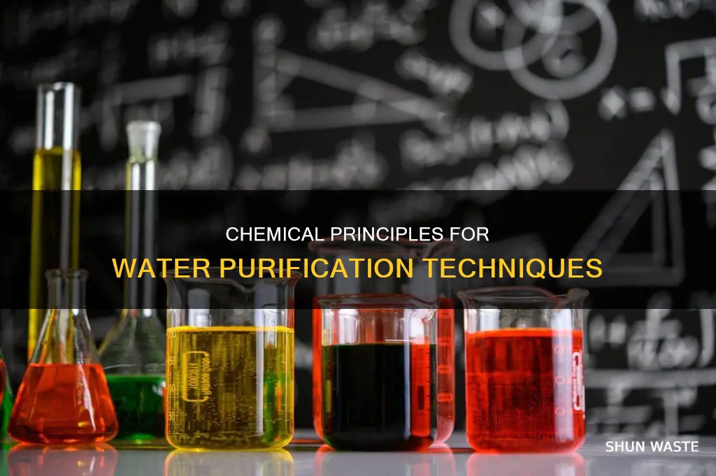 Chemical Principles For Water Purification Techniques | ShunWaste