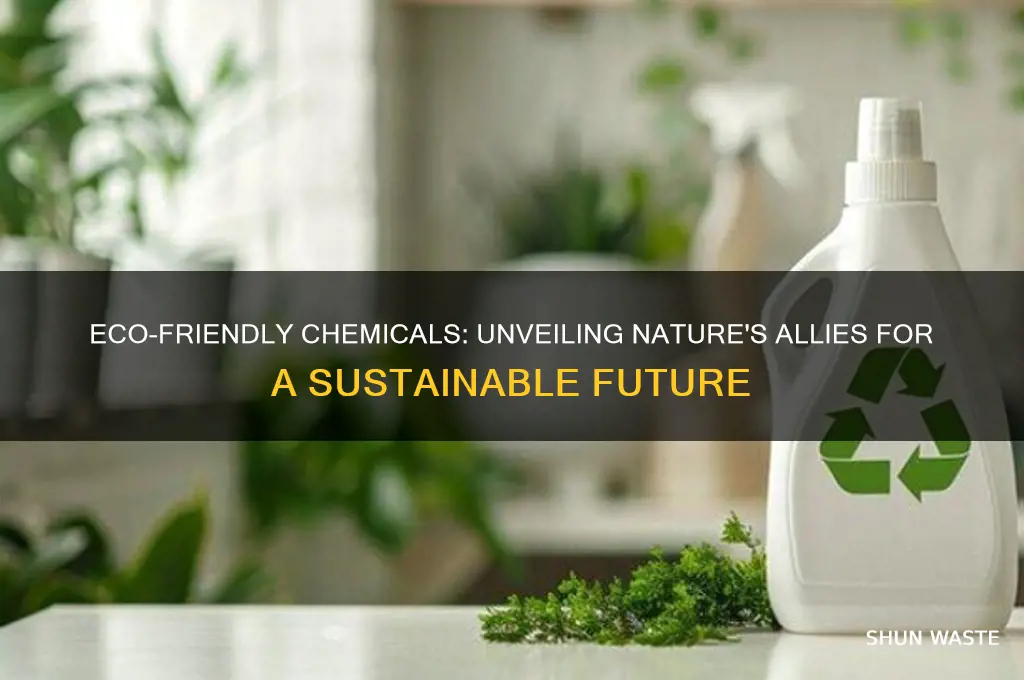 Eco-Friendly Chemicals: Unveiling Nature's Allies For A Sustainable ...