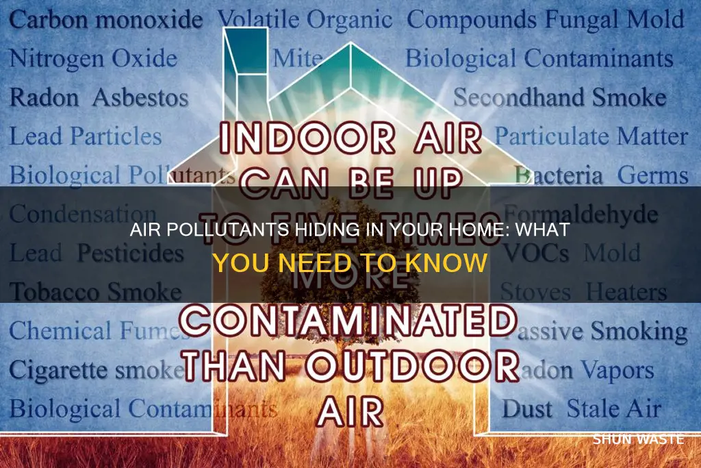 Air Pollutants Hiding In Your Home: What You Need To Know | ShunWaste