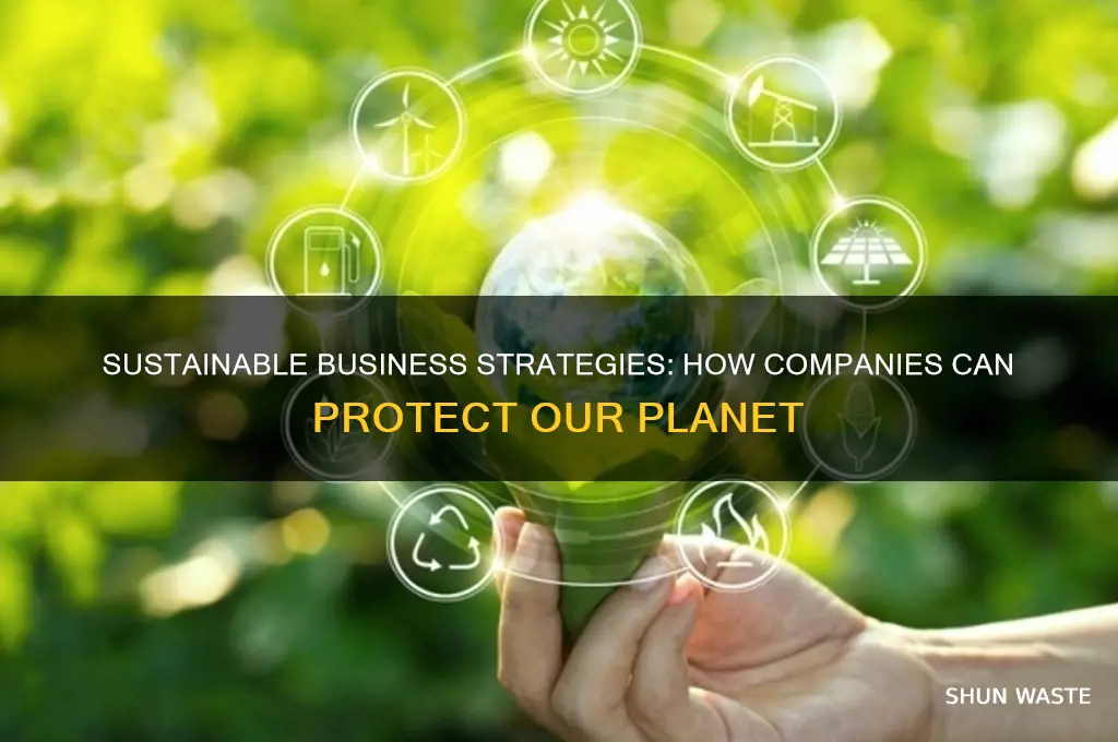 Sustainable Business Strategies: How Companies Can Protect Our Planet ...