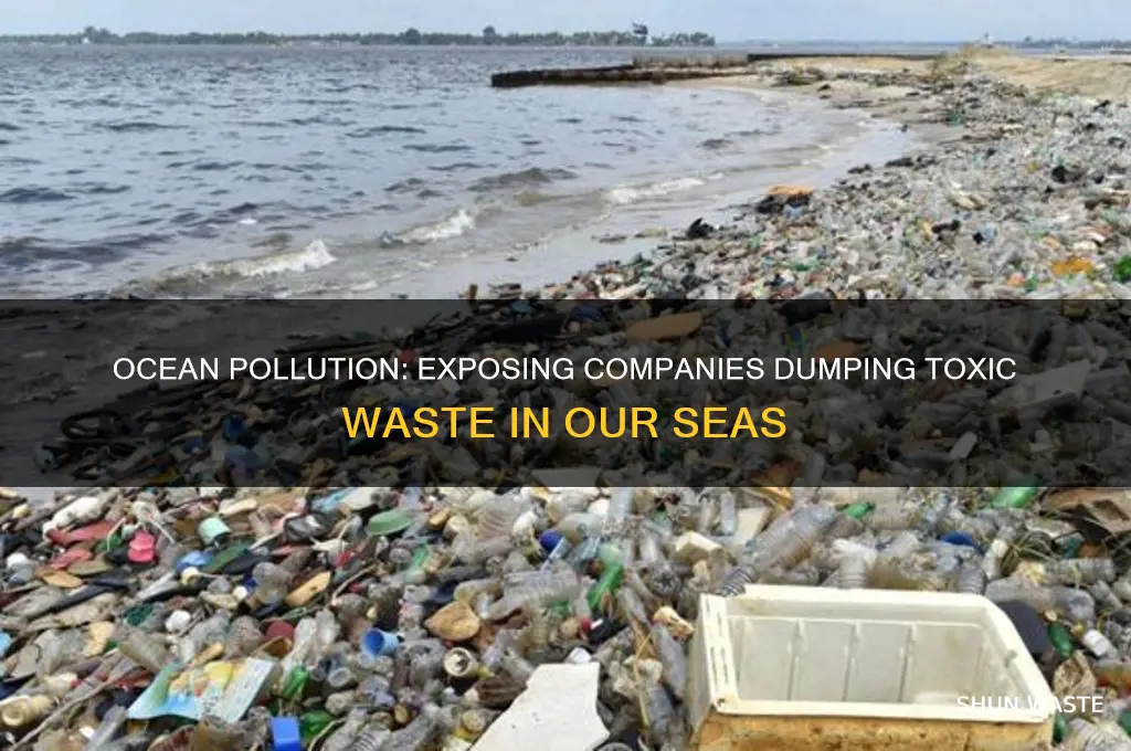 Ocean Pollution: Exposing Companies Dumping Toxic Waste In Our Seas ...