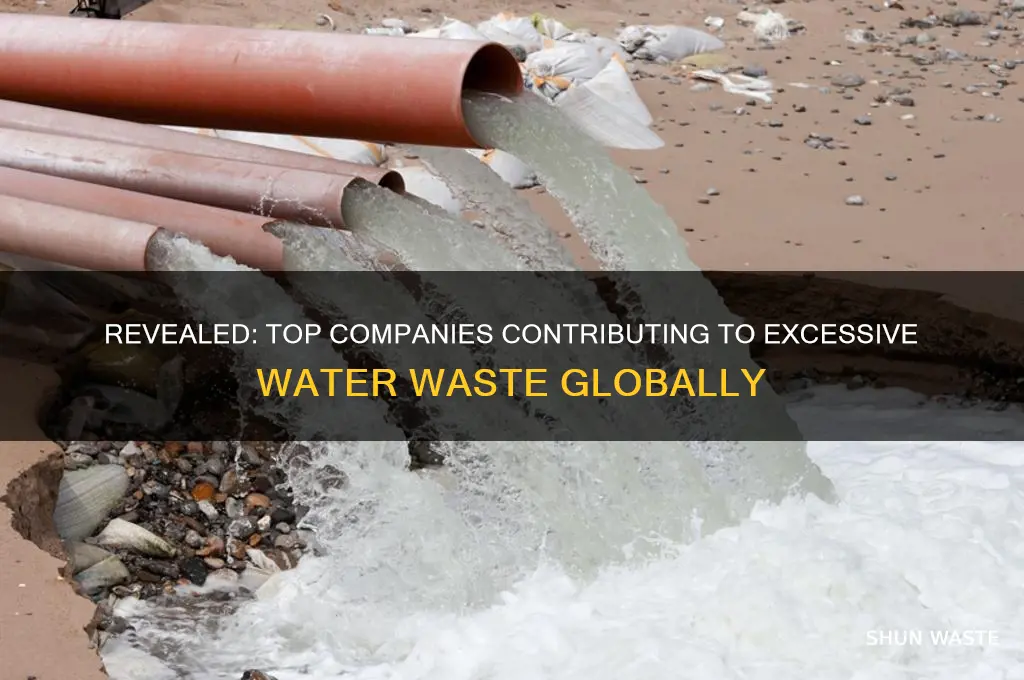 Revealed: Top Companies Contributing To Excessive Water Waste Globally ...