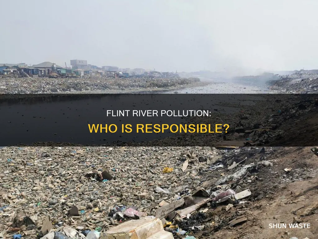 Flint River Pollution: Who Is Responsible? | ShunWaste