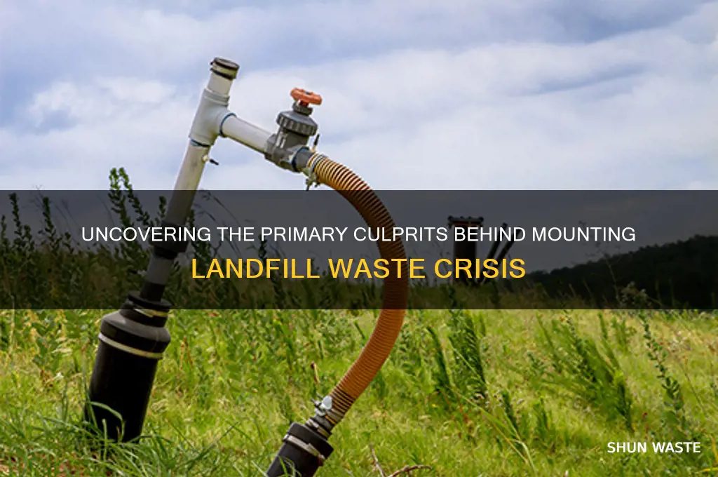 Uncovering The Primary Culprits Behind Mounting Landfill Waste Crisis ...
