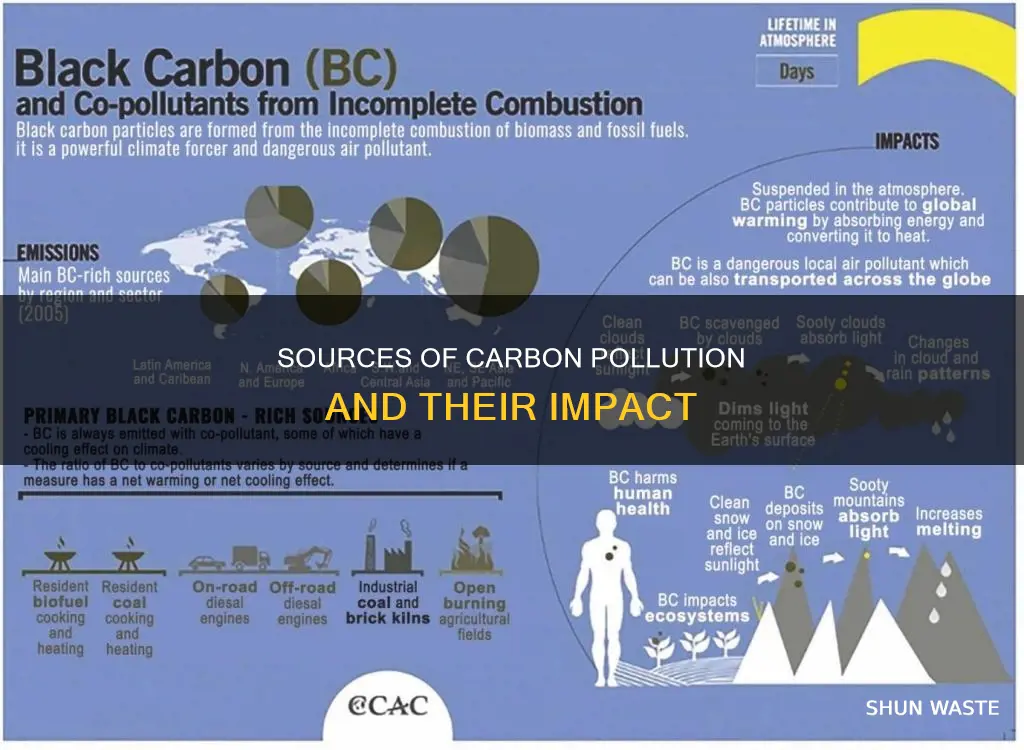 Sources Of Carbon Pollution And Their Impact | ShunWaste
