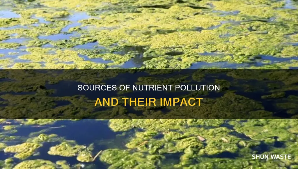 Sources Of Nutrient Pollution And Their Impact | ShunWaste