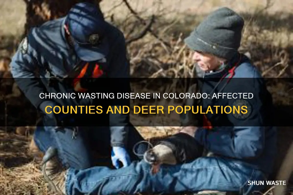 Chronic Wasting Disease In Colorado: Affected Counties And Deer ...