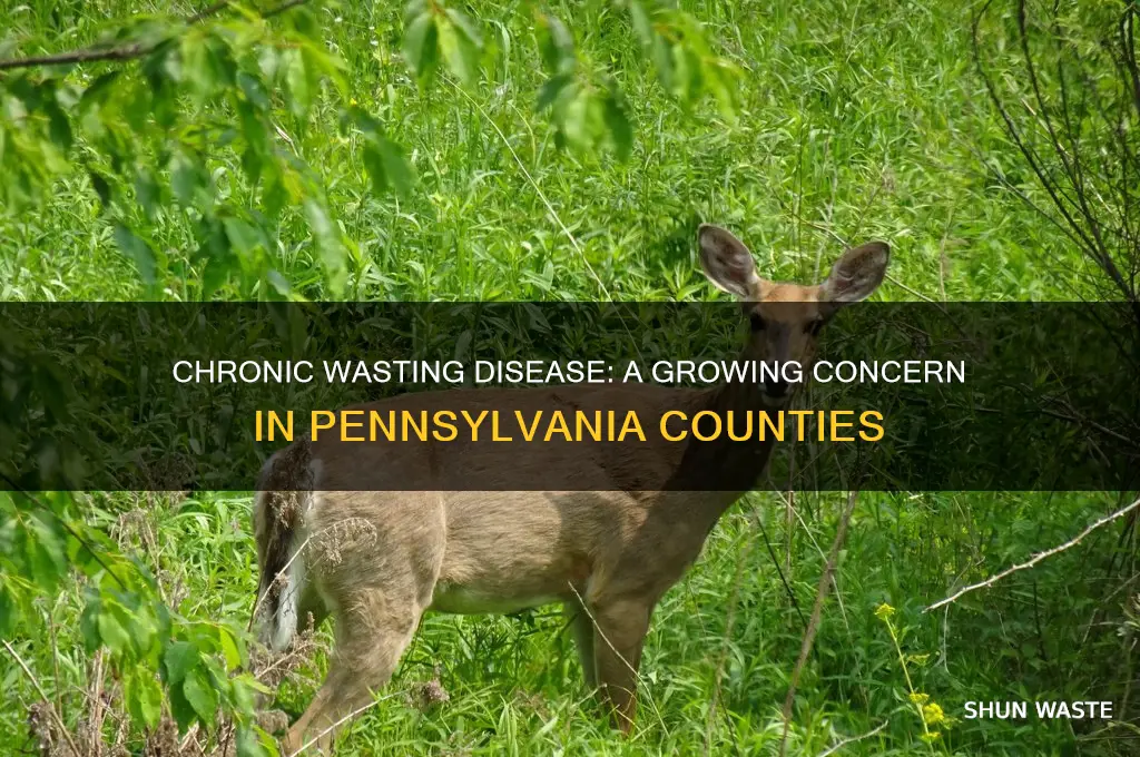 Chronic Wasting Disease: A Growing Concern In Pennsylvania Counties ...