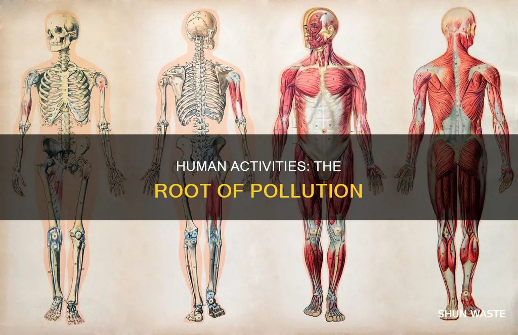 Human Activities: The Root Of Pollution | ShunWaste
