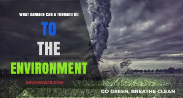 Acid Rain's Devastating Impact: Environmental Damage And Long-Term ...