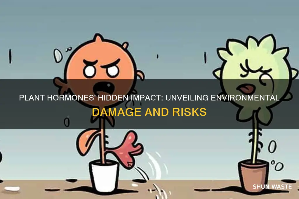 Plant Hormones' Hidden Impact: Unveiling Environmental Damage And Risks ...