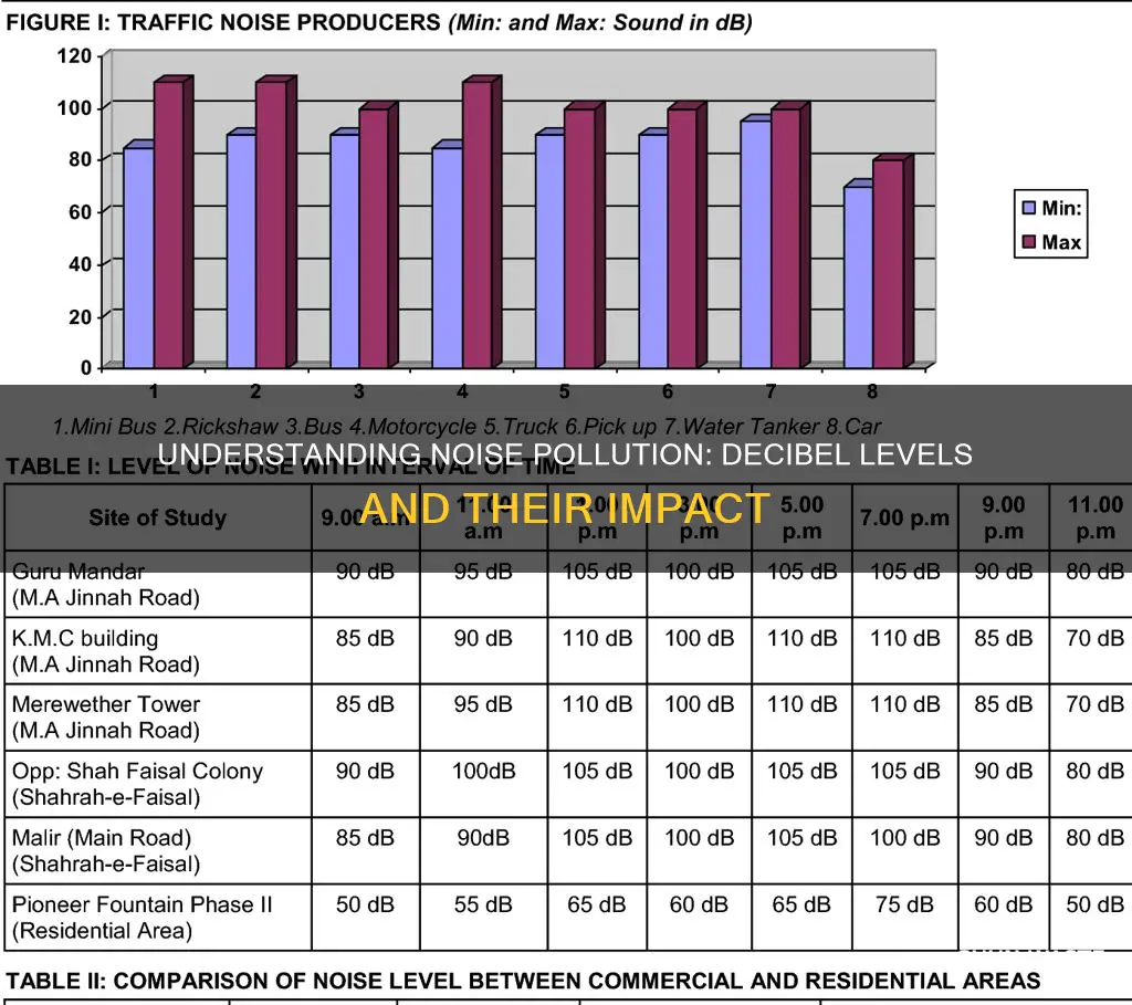 Understanding Noise Pollution: Decibel Levels And Their Impact | ShunWaste