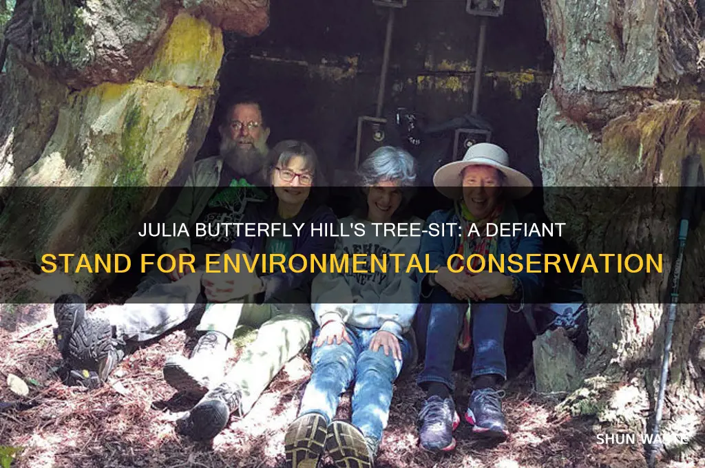 Julia Butterfly Hill's Tree-Sit: A Defiant Stand For Environmental ...