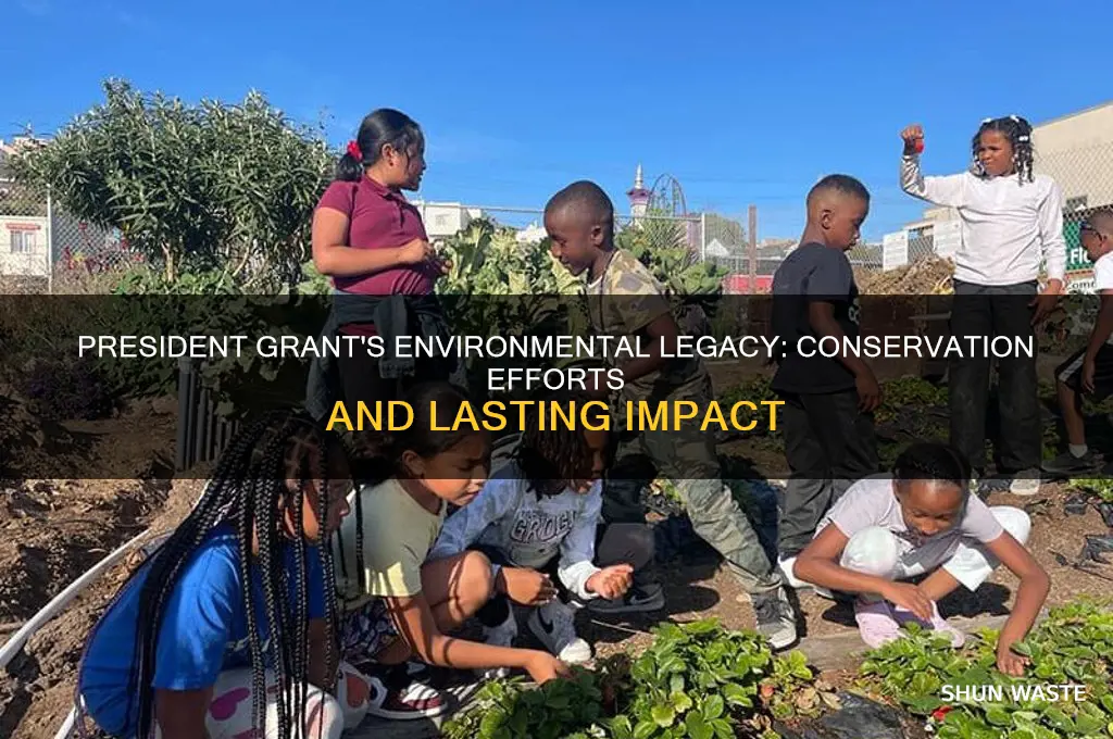 President Grant's Environmental Legacy: Conservation Efforts And ...