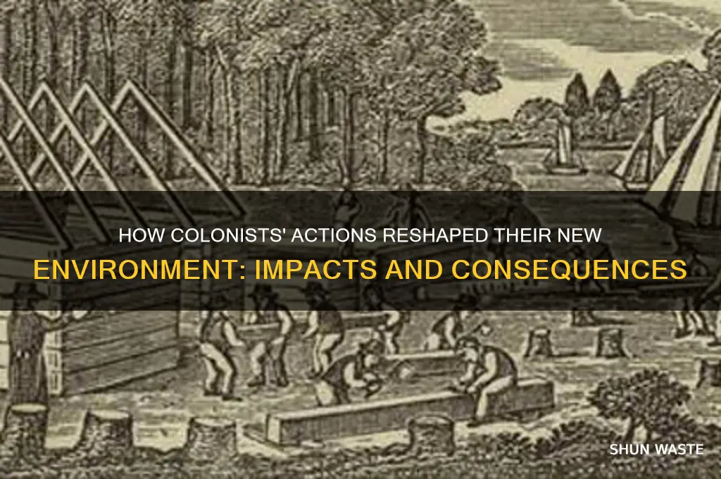 How Colonists' Actions Reshaped Their New Environment: Impacts And ...