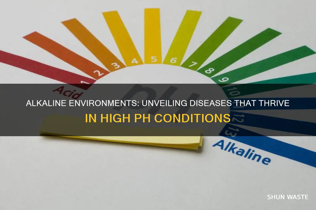 Alkaline Environments: Unveiling Diseases That Thrive In High Ph ...