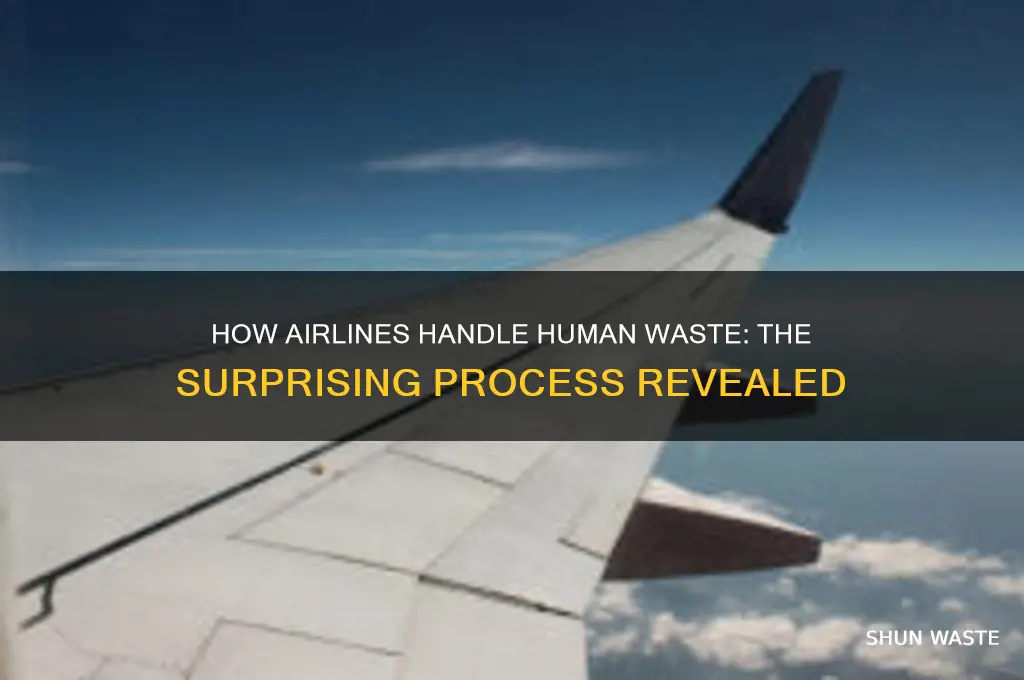 How Airlines Handle Human Waste: The Surprising Process Revealed ...