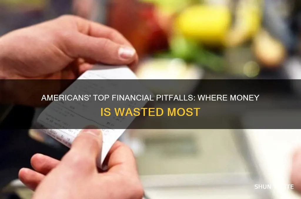 Americans' Top Financial Pitfalls: Where Money Is Wasted Most | ShunWaste