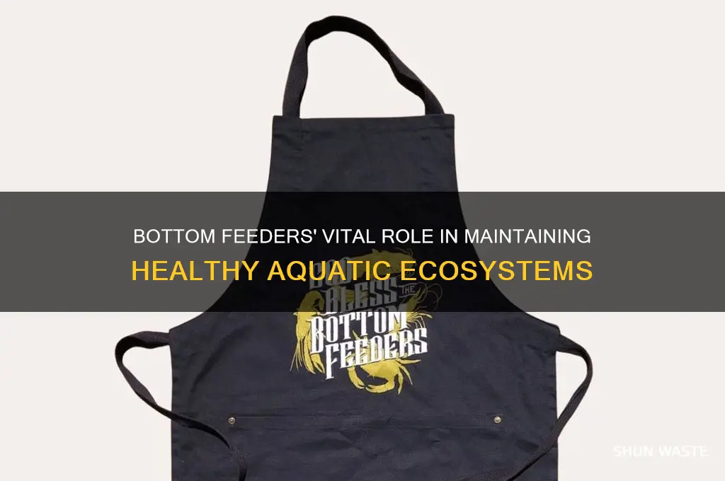 Bottom Feeders' Vital Role In Maintaining Healthy Aquatic Ecosystems ...