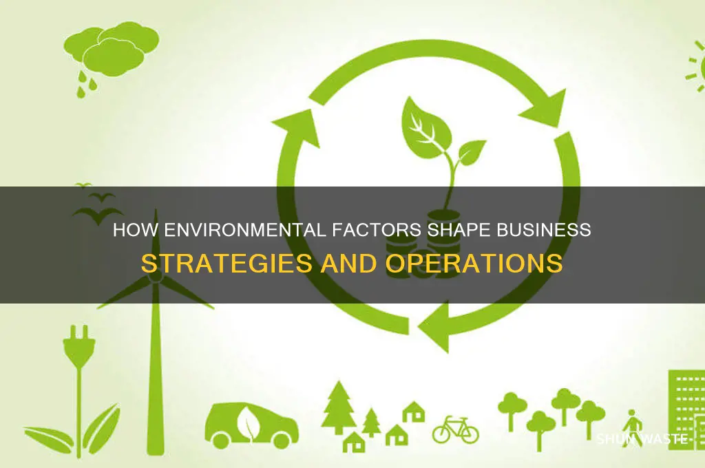 How Environmental Factors Shape Business Strategies And Operations ...