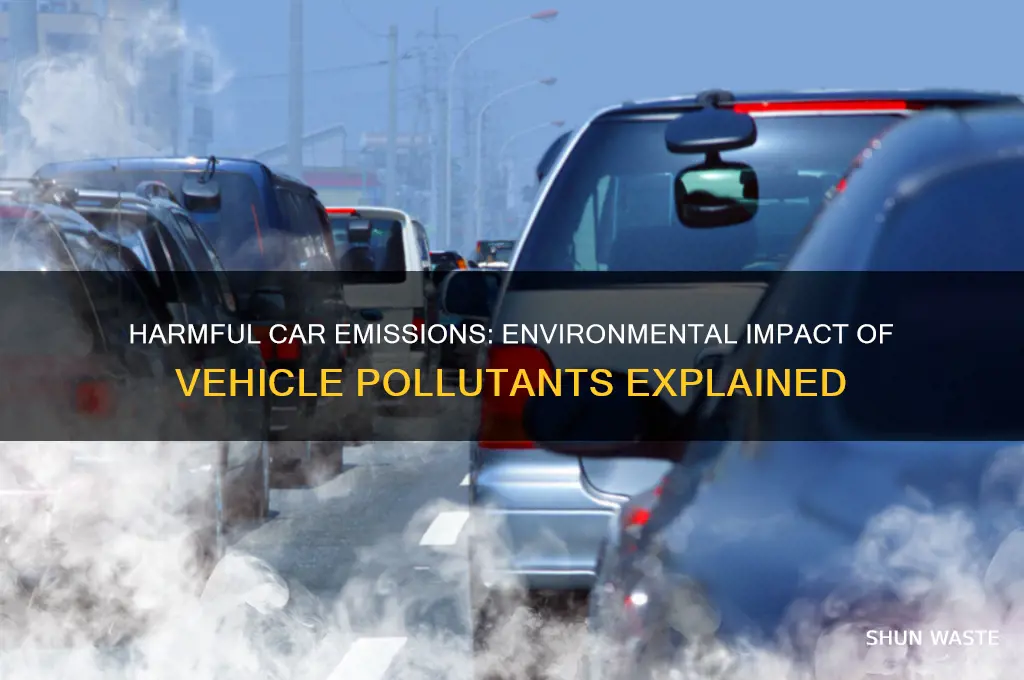 Harmful Car Emissions: Environmental Impact Of Vehicle Pollutants ...