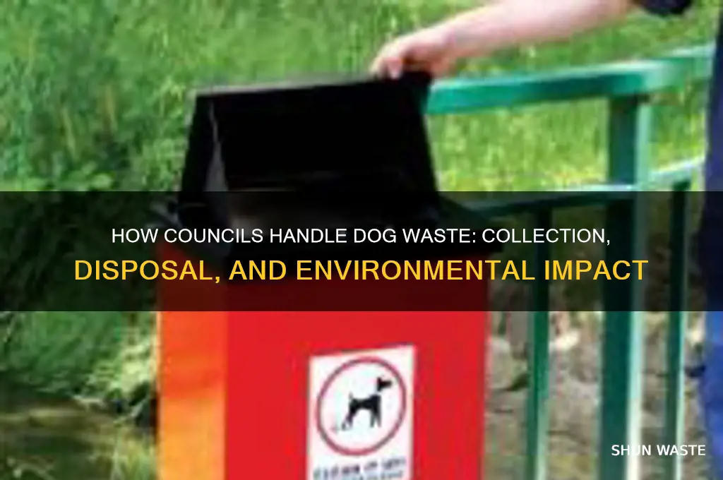 How Councils Handle Dog Waste: Collection, Disposal, And Environmental ...
