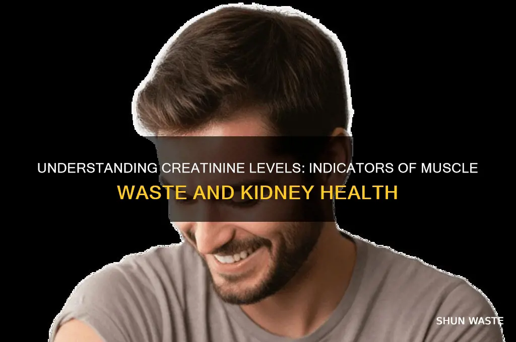 Understanding Creatinine Levels: Indicators Of Muscle Waste And Kidney ...