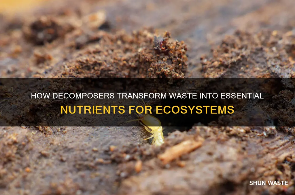 How Decomposers Transform Waste Into Essential Nutrients For Ecosystems ...